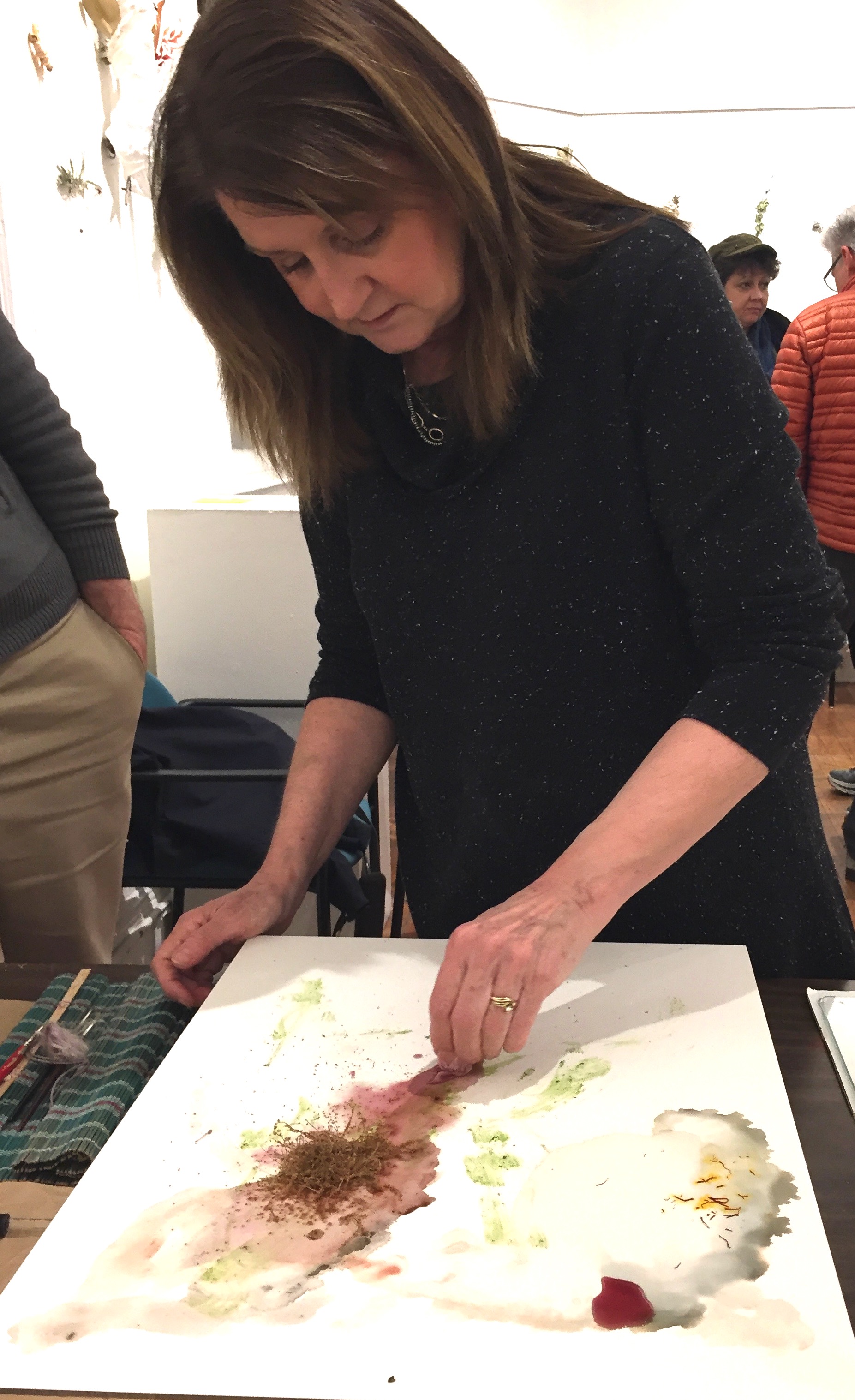 DC artist Pam Rogers is CHAW 2017 artist in residence | THE WEDNESDAY ...