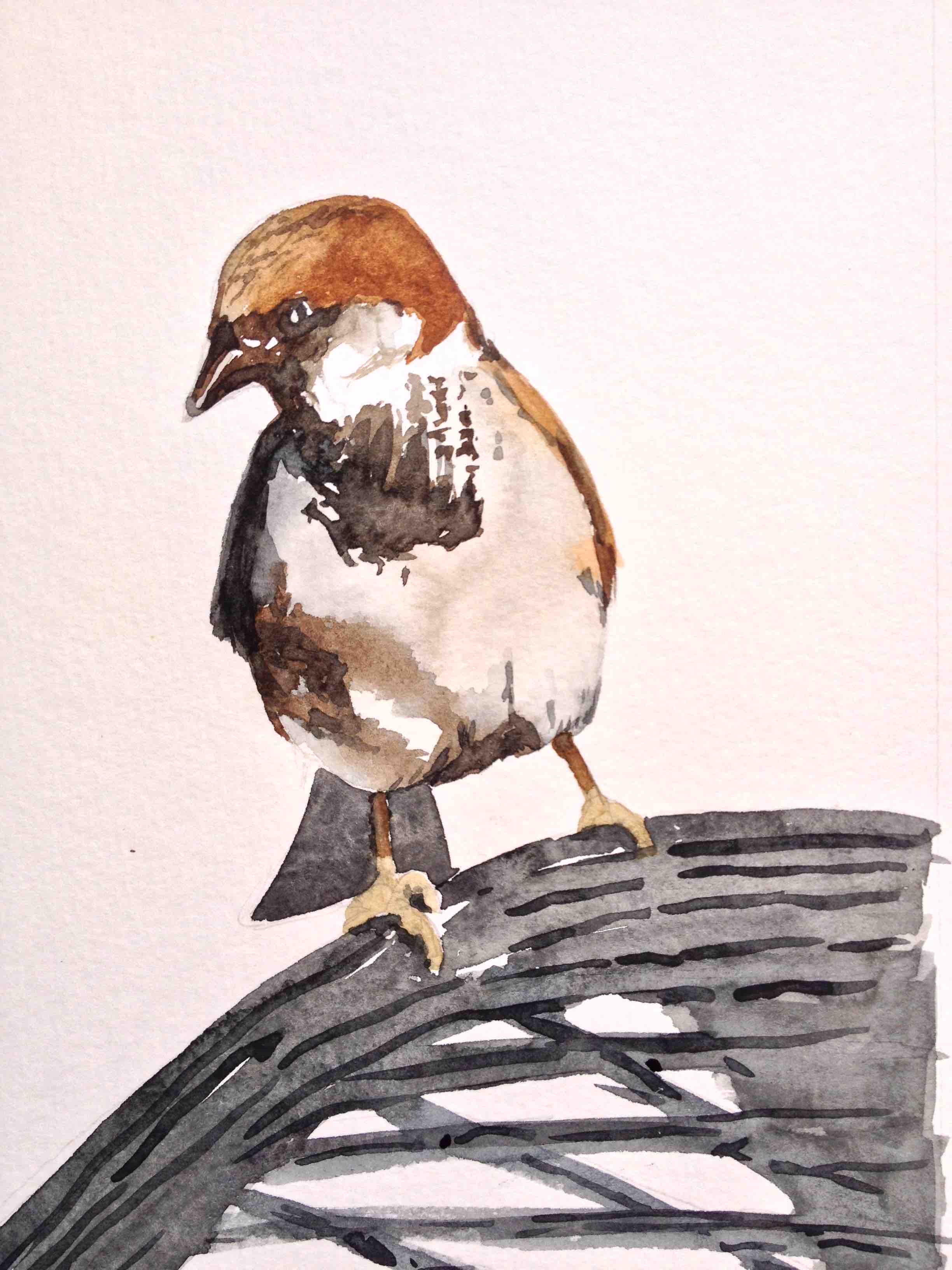 Tara Hamilton’s Gallery | THE WEDNESDAY STUDIO