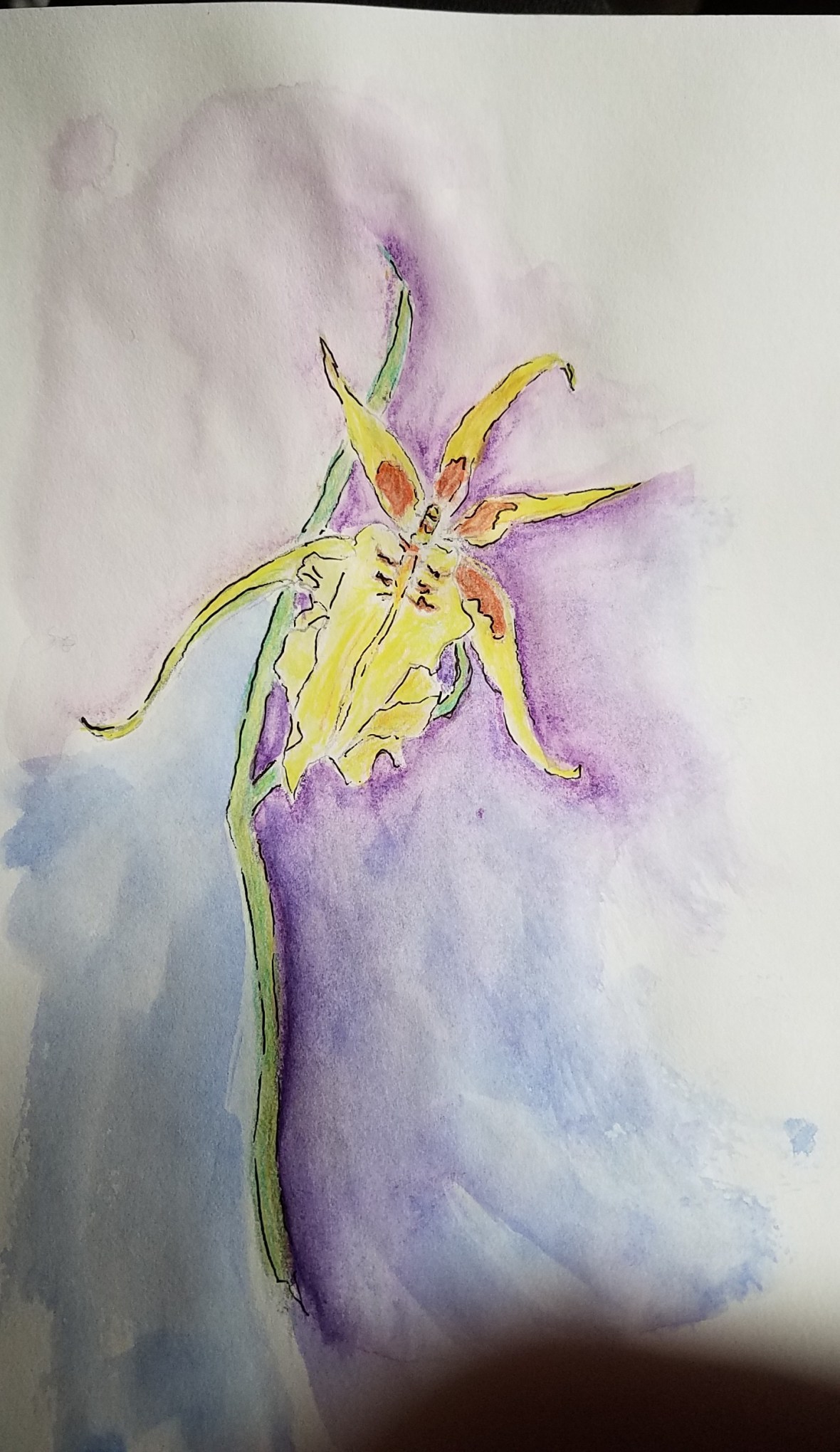Making art every day: the faithful few | THE WEDNESDAY STUDIO