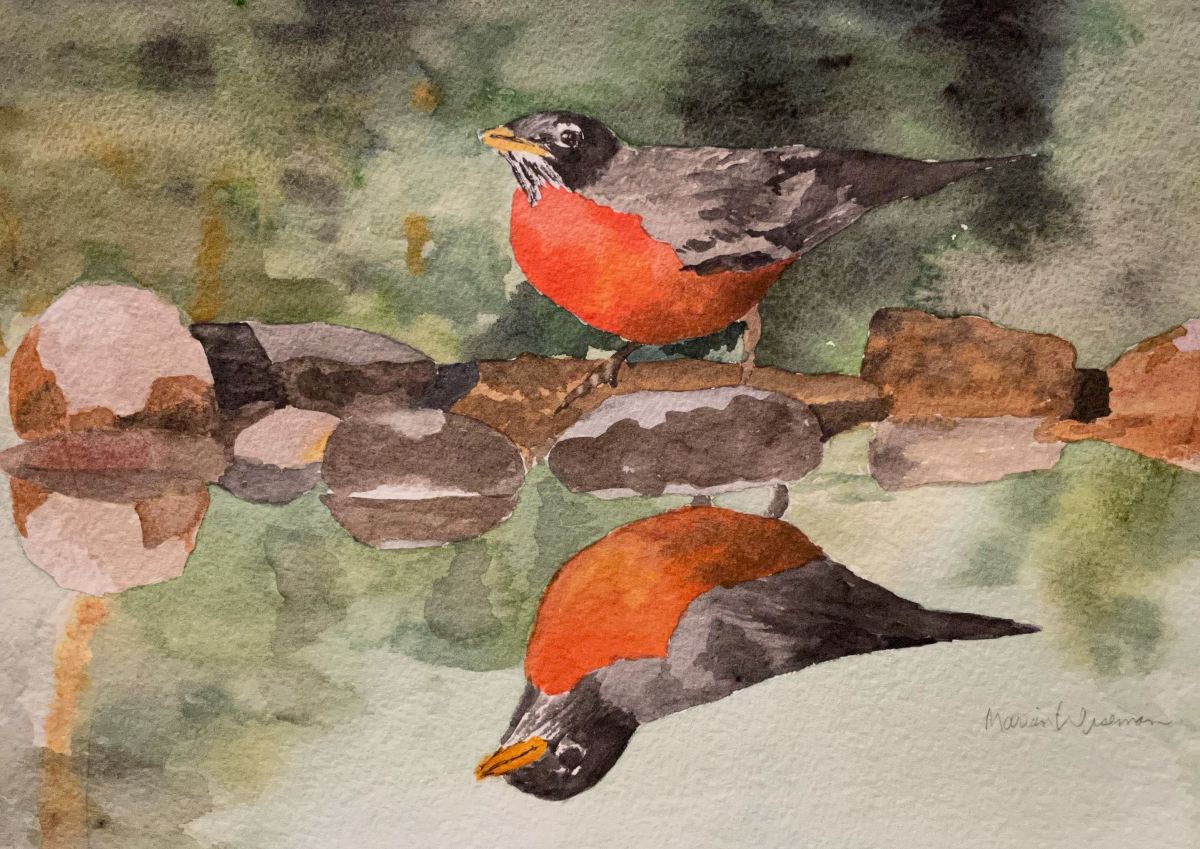 Happy New Year with great birds! | THE WEDNESDAY STUDIO